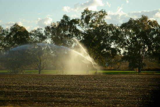 Vaughan Irrigators